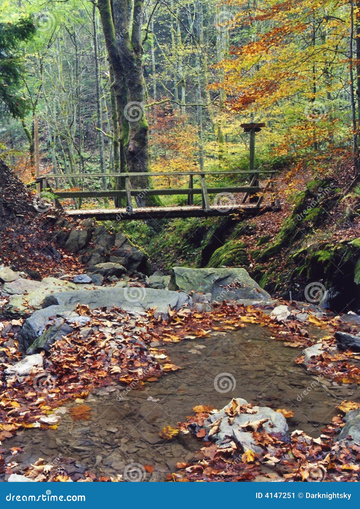 Romantic Rivulet with Bridge Stock Image - Image of indian, forest: 4147251