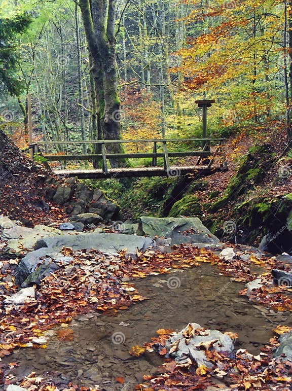 Romantic Rivulet with Bridge Stock Image - Image of indian, forest: 4147251
