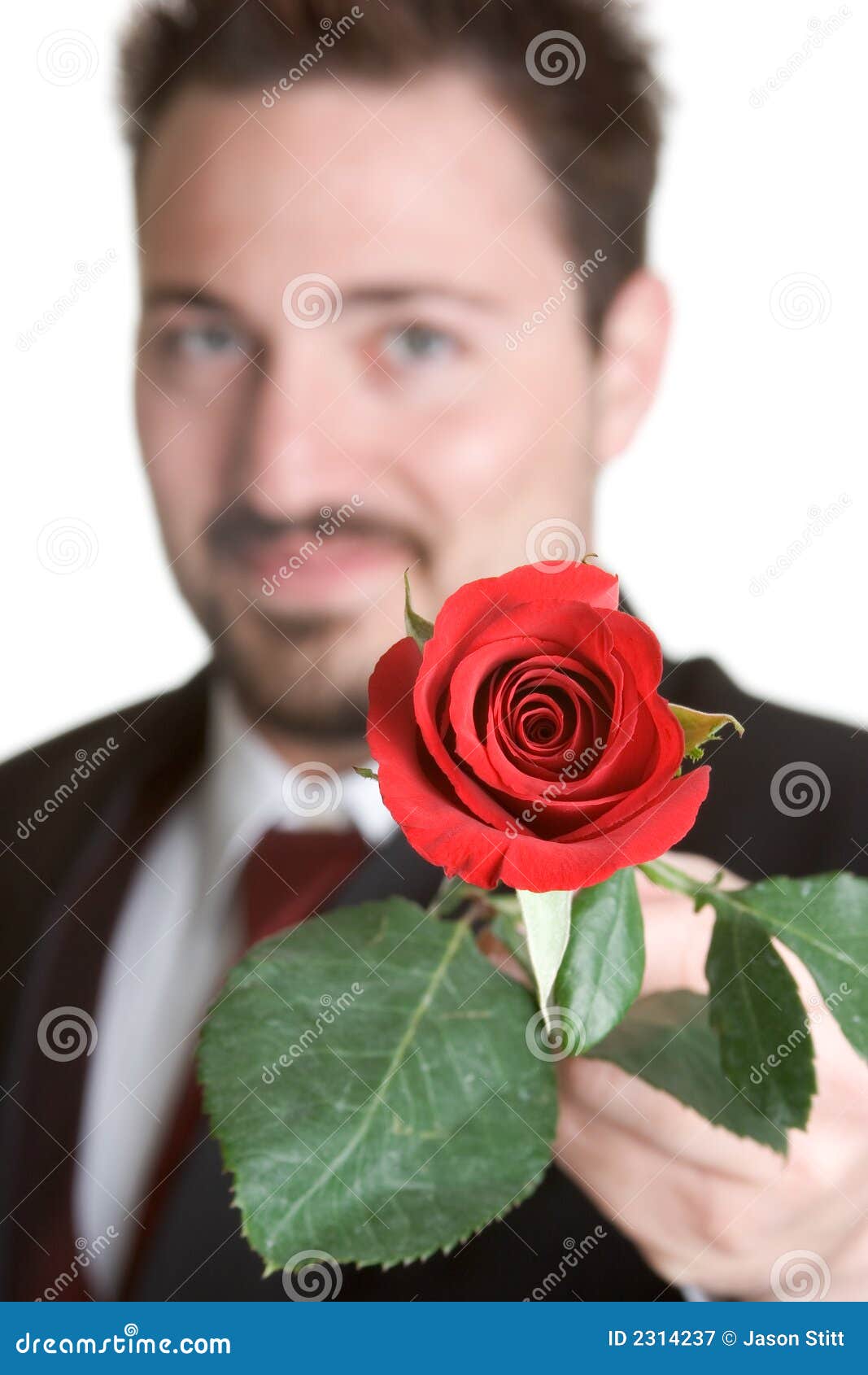 Romantic Rose Man stock image. Image of white, love, tuxedo - 2314237