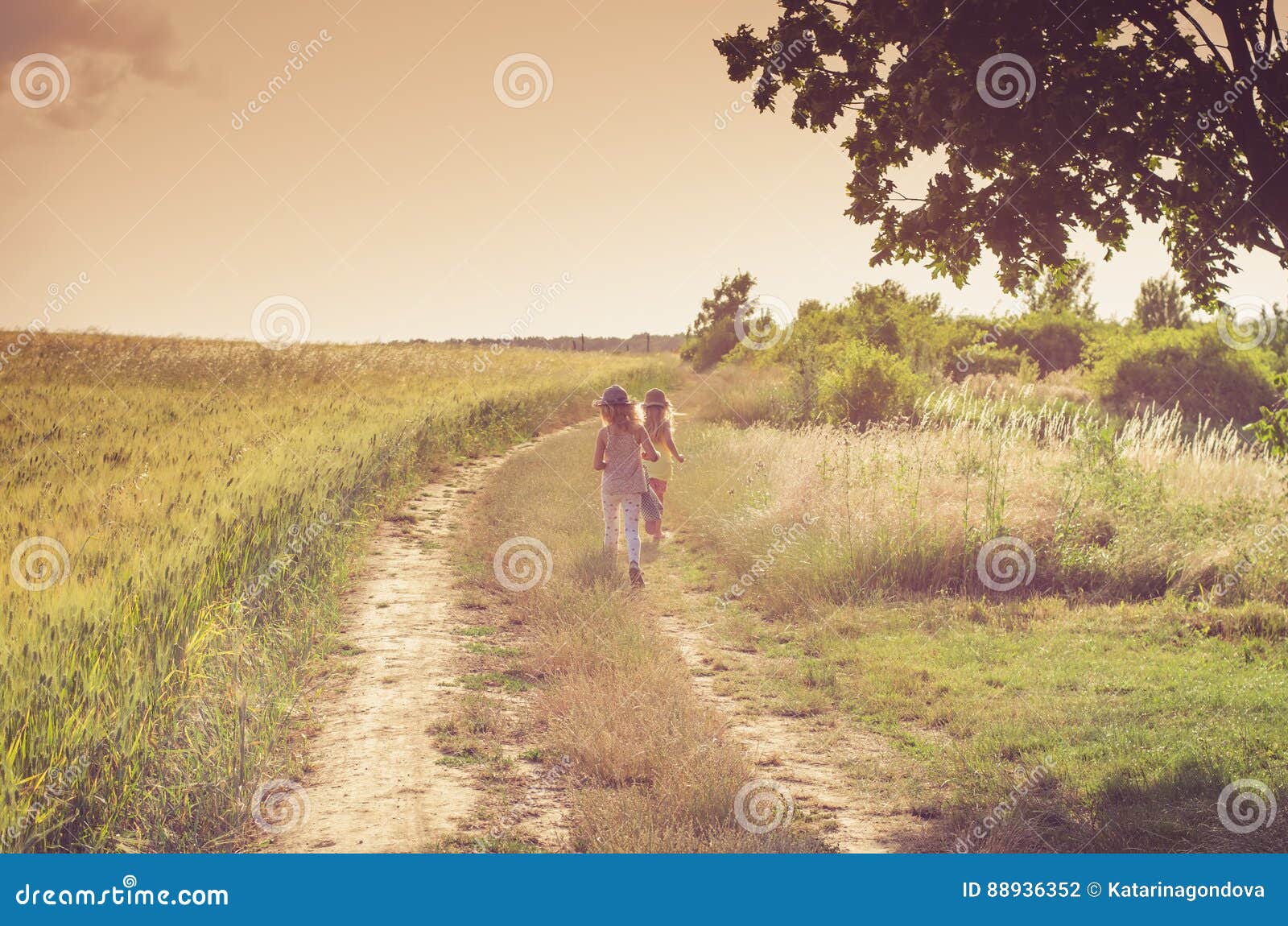Romantic rural path stock photo. Image of country, agriculture - 88936352