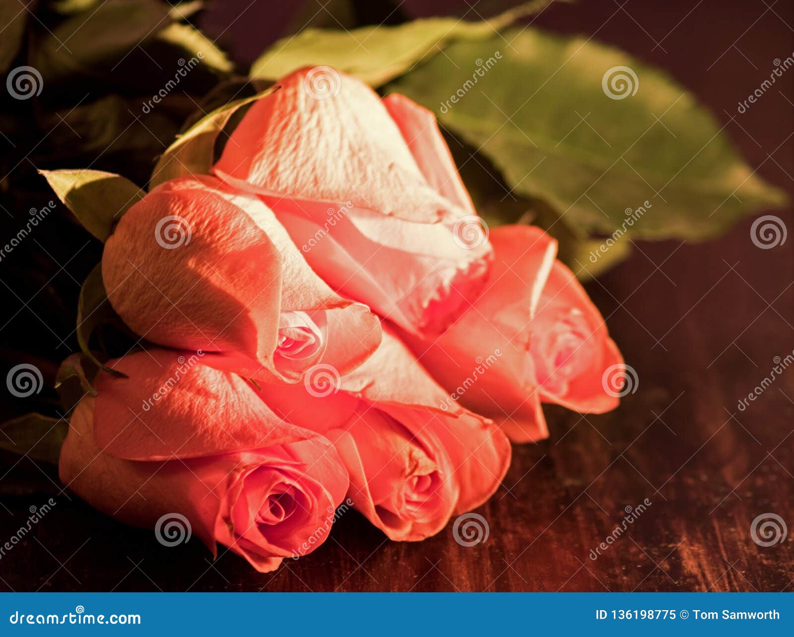 Bunch of Pink Roses on Date Night Stock Image - Image of wine, romance ...