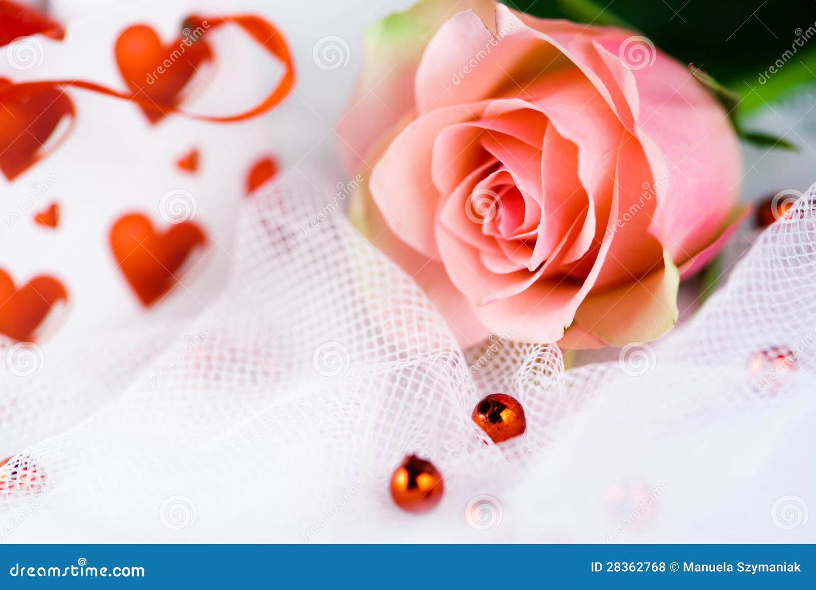 Romantic Single Perfect Pink Rose Stock Photo - Image of rose, wedding ...