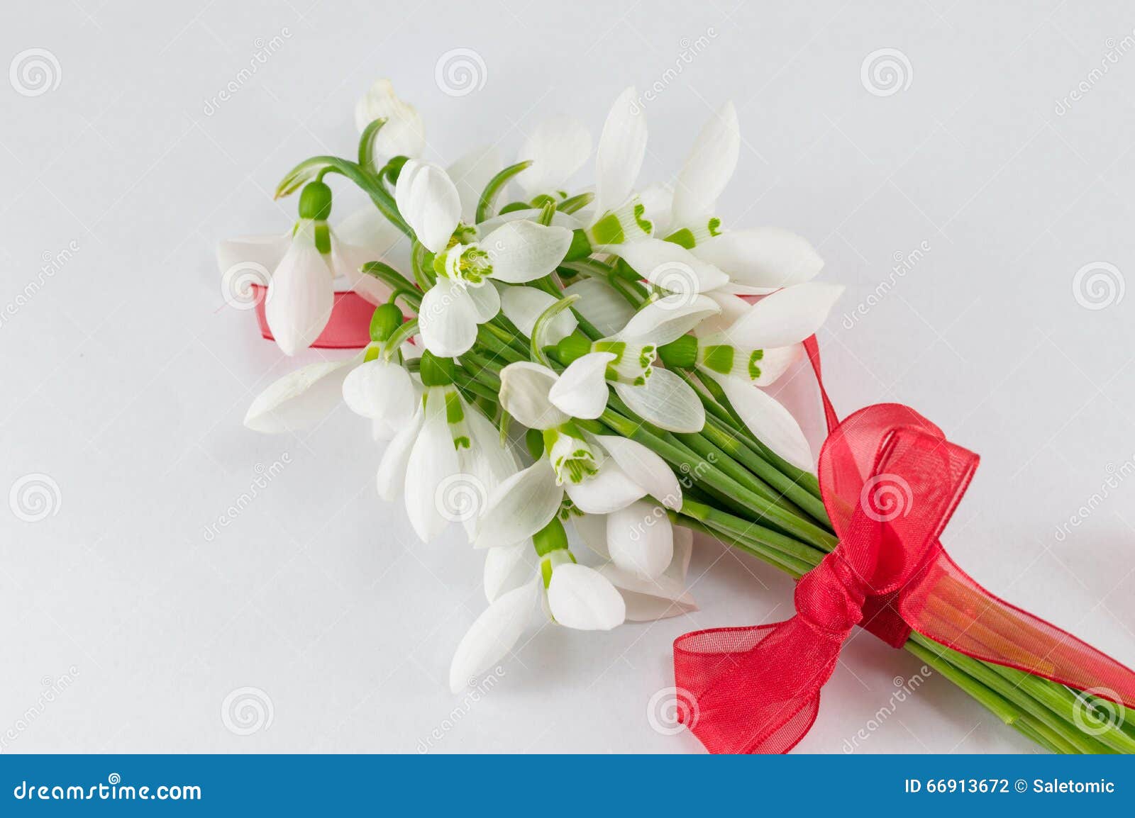 Snowdrops Bouquet Stock Image | CartoonDealer.com #87664597