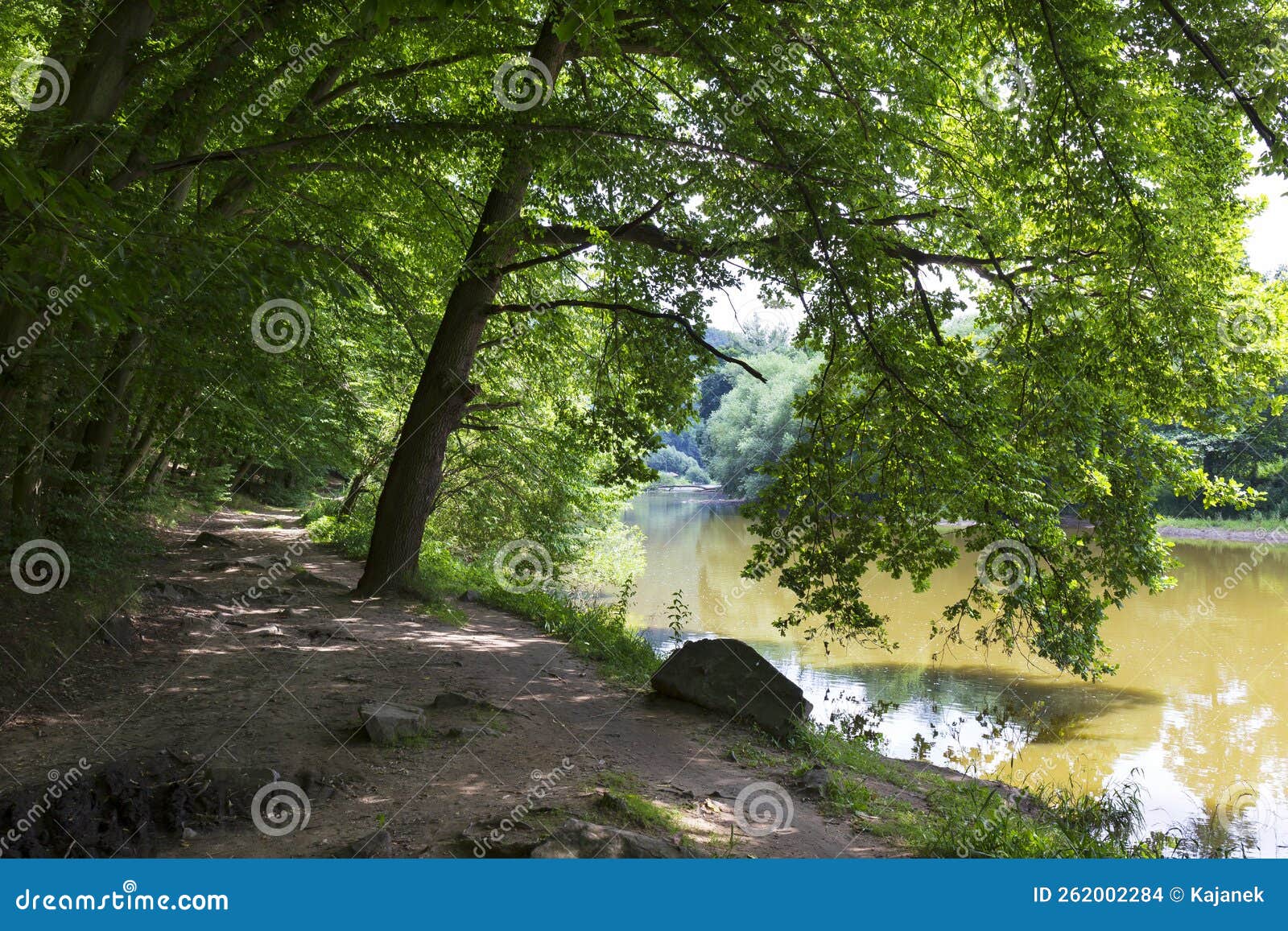 Romantic Solitude Path with Old Big Trees about River Sazava in Central ...