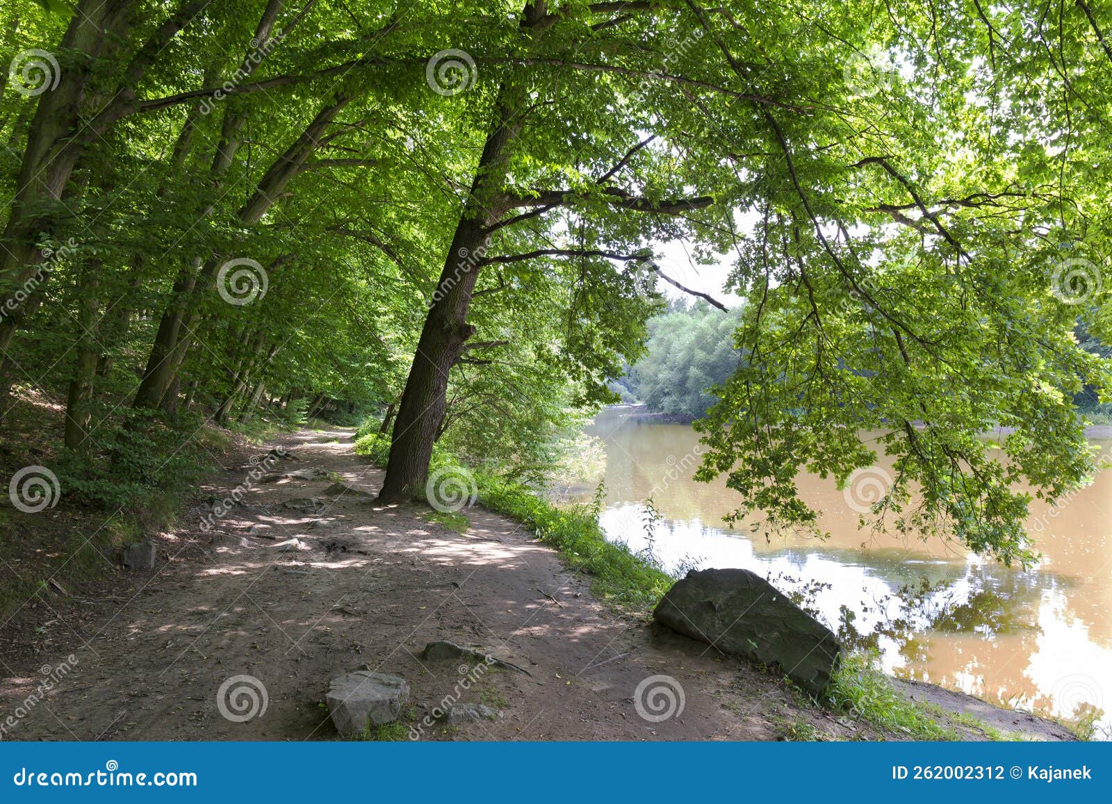Romantic Solitude Path with Old Big Trees about River Sazava in Central ...
