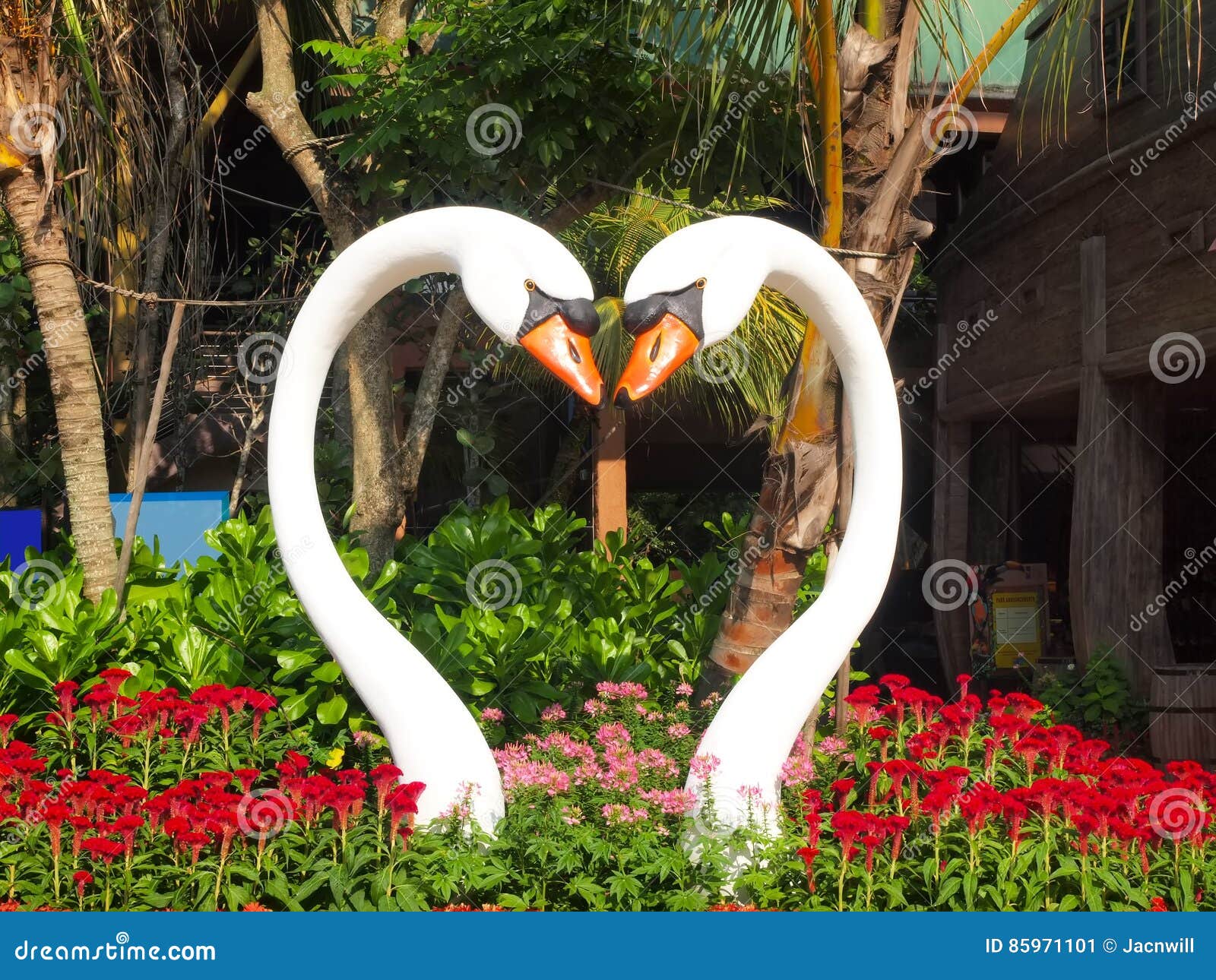 Romantic Swans stock image. Image of heart, valentines - 85971101