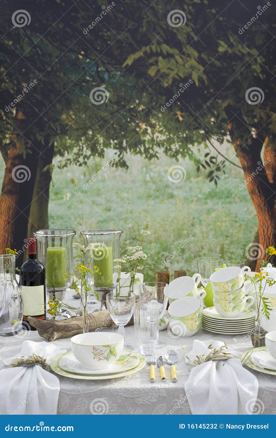 Romantic Table Setting Outside Stock Photo - Image of dining ...