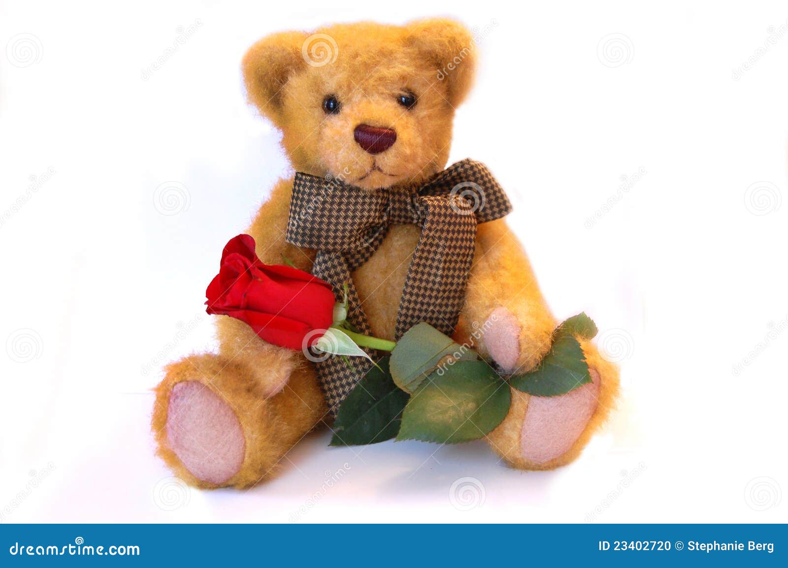 Romantic Teddy stock photo. Image of date, stuffed, relationships ...