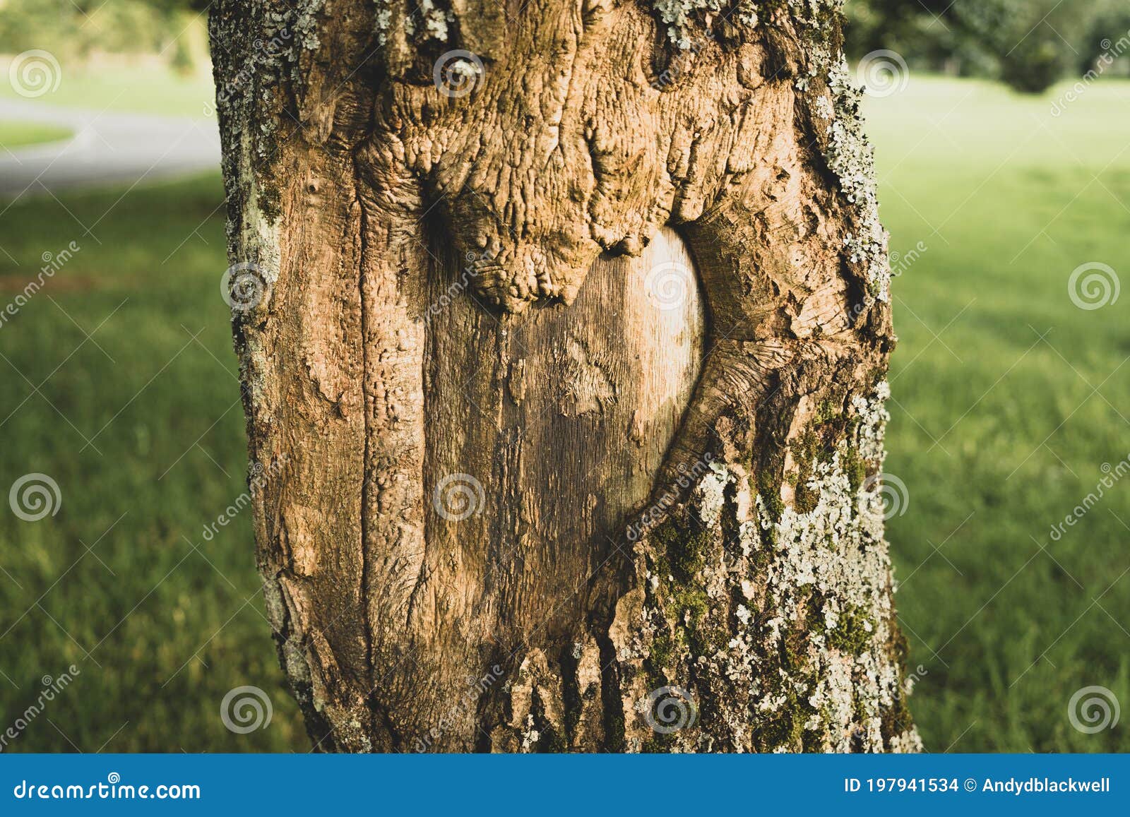 The Romantic Tree of Love stock photo. Image of engraved - 197941534