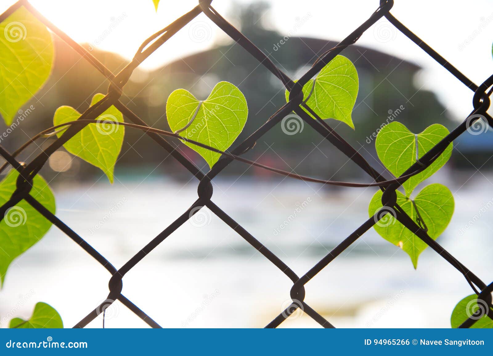 Romantic Tree Shape with Heart Shaped Stock Photo - Image of green ...