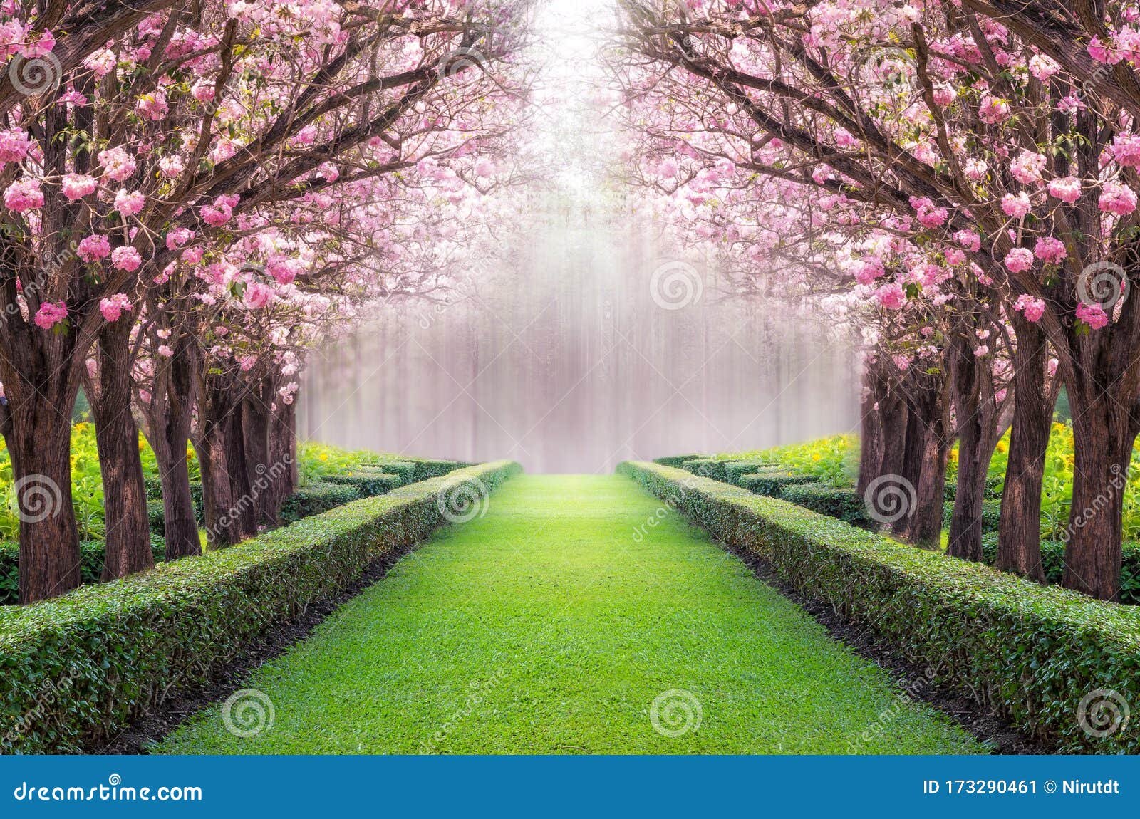 Romantic tunnel stock image. Image of tunnel, colorful - 173290461