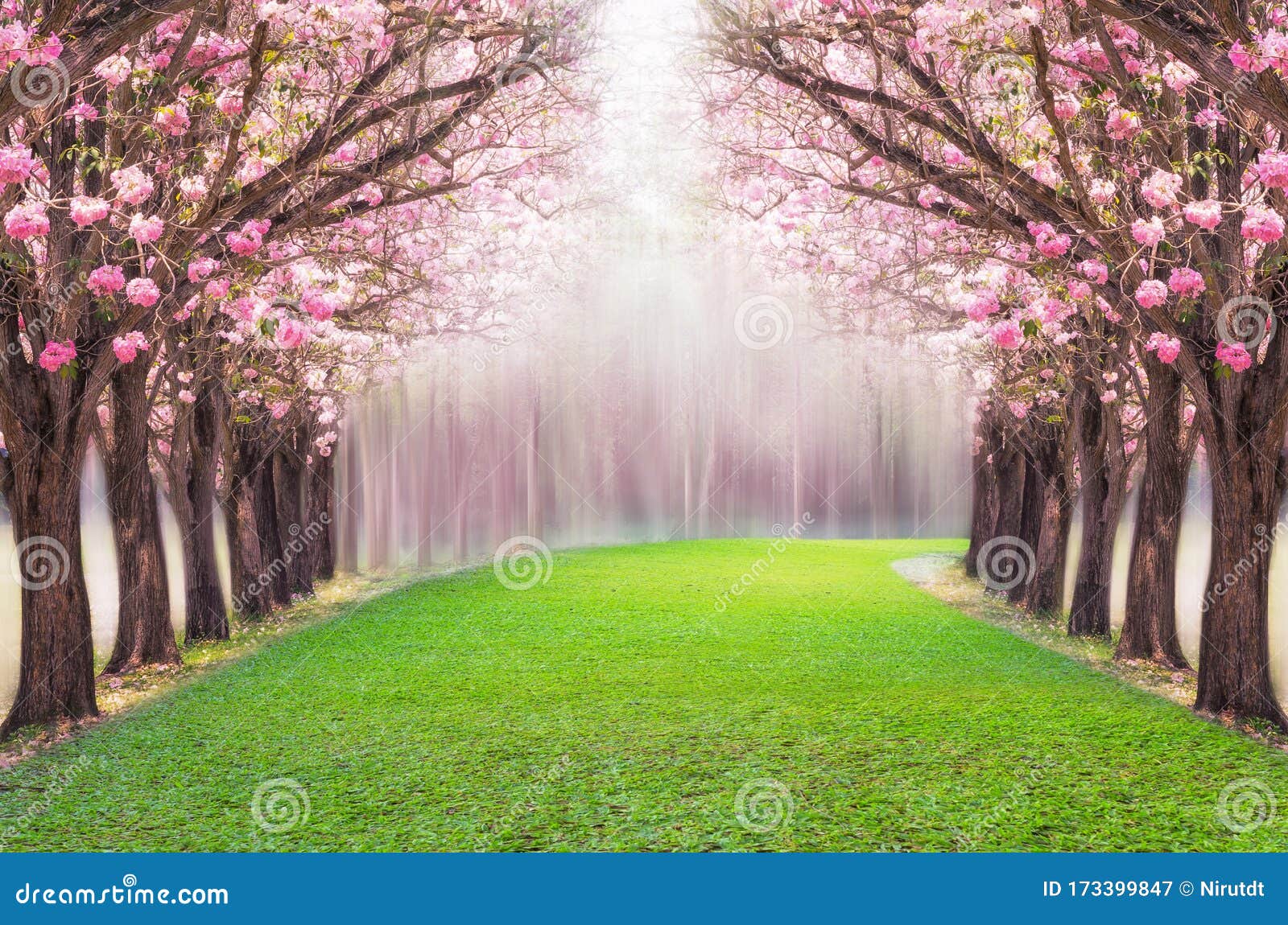 Romantic tunnel stock image. Image of branch, environment - 173399847