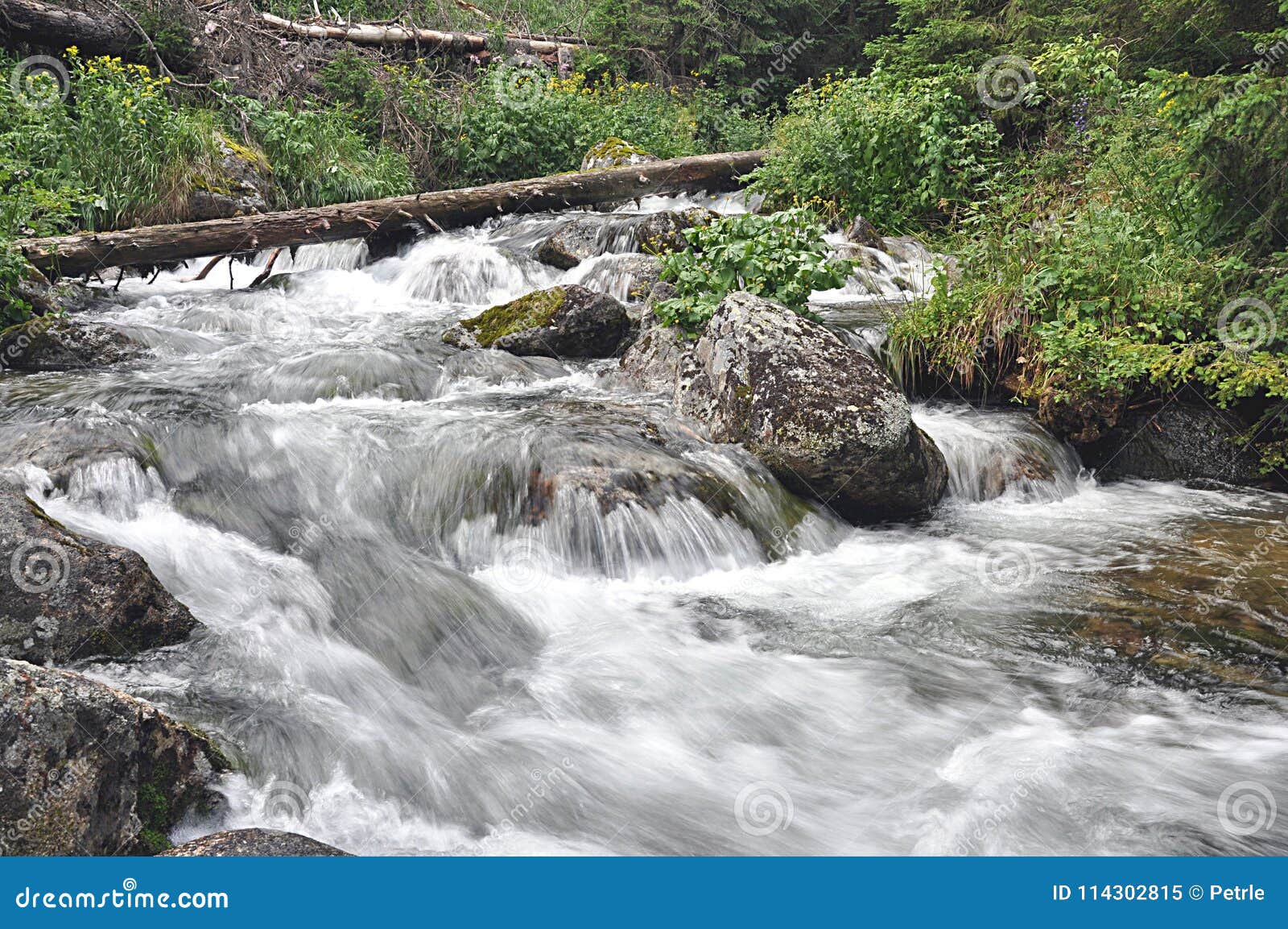 Mountain river and nature stock image. Image of outdoor - 114302815