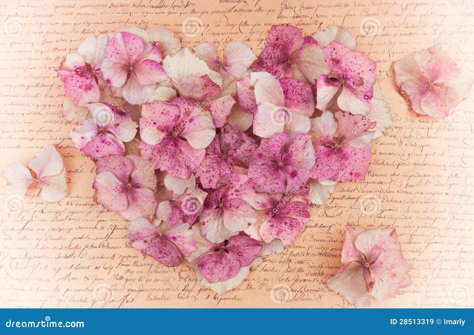 270 Hydrangea Heart Shape Stock Photos - Free & Royalty-Free Stock ...