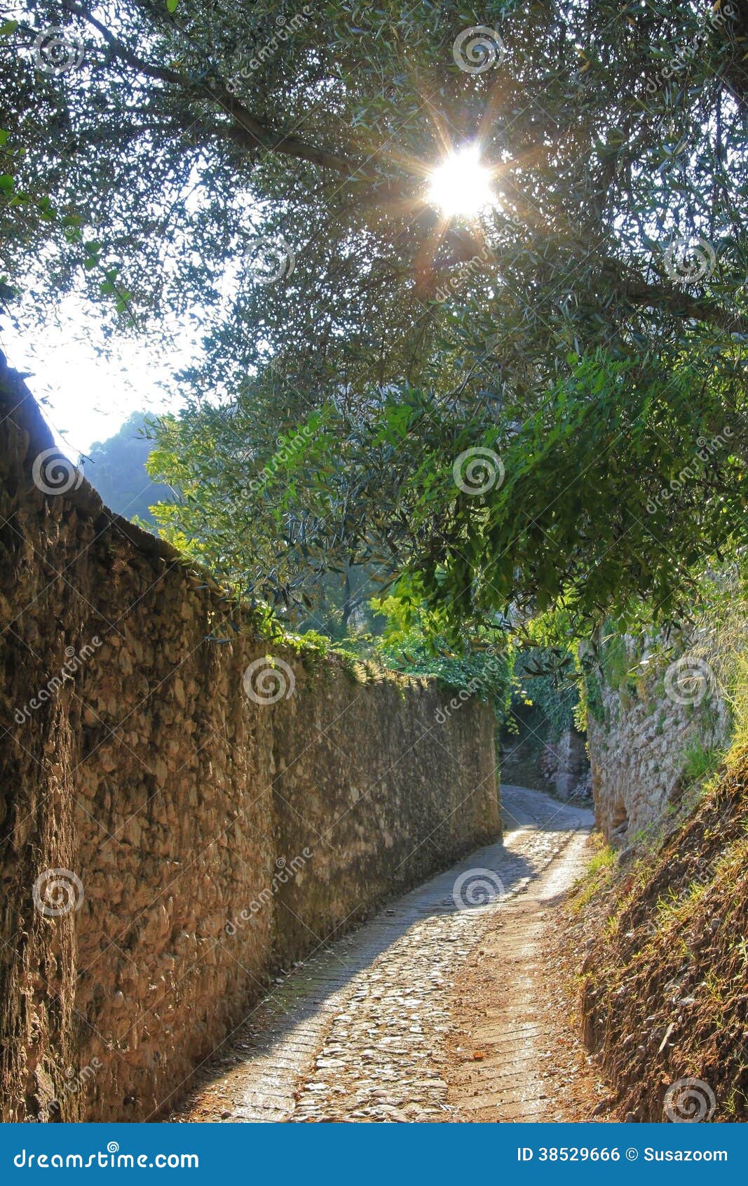 Romantic Walkway Along Brick Wall, with Bright Sunlight through Stock ...