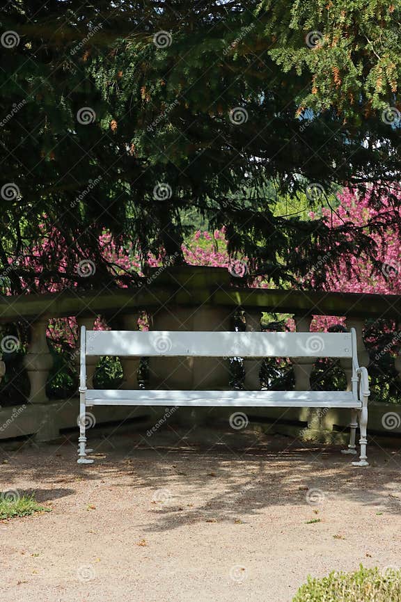 Romantic White Bench in Park Stock Photo - Image of leaf, rest: 280578646