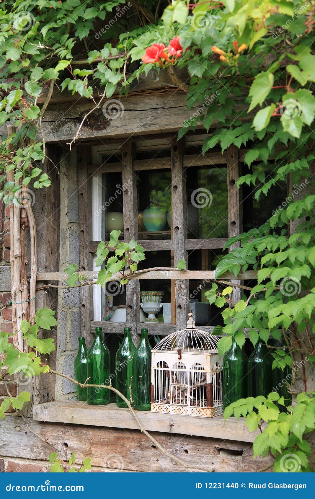 Romantic window stock photo. Image of radicans, farmhouse - 12231440