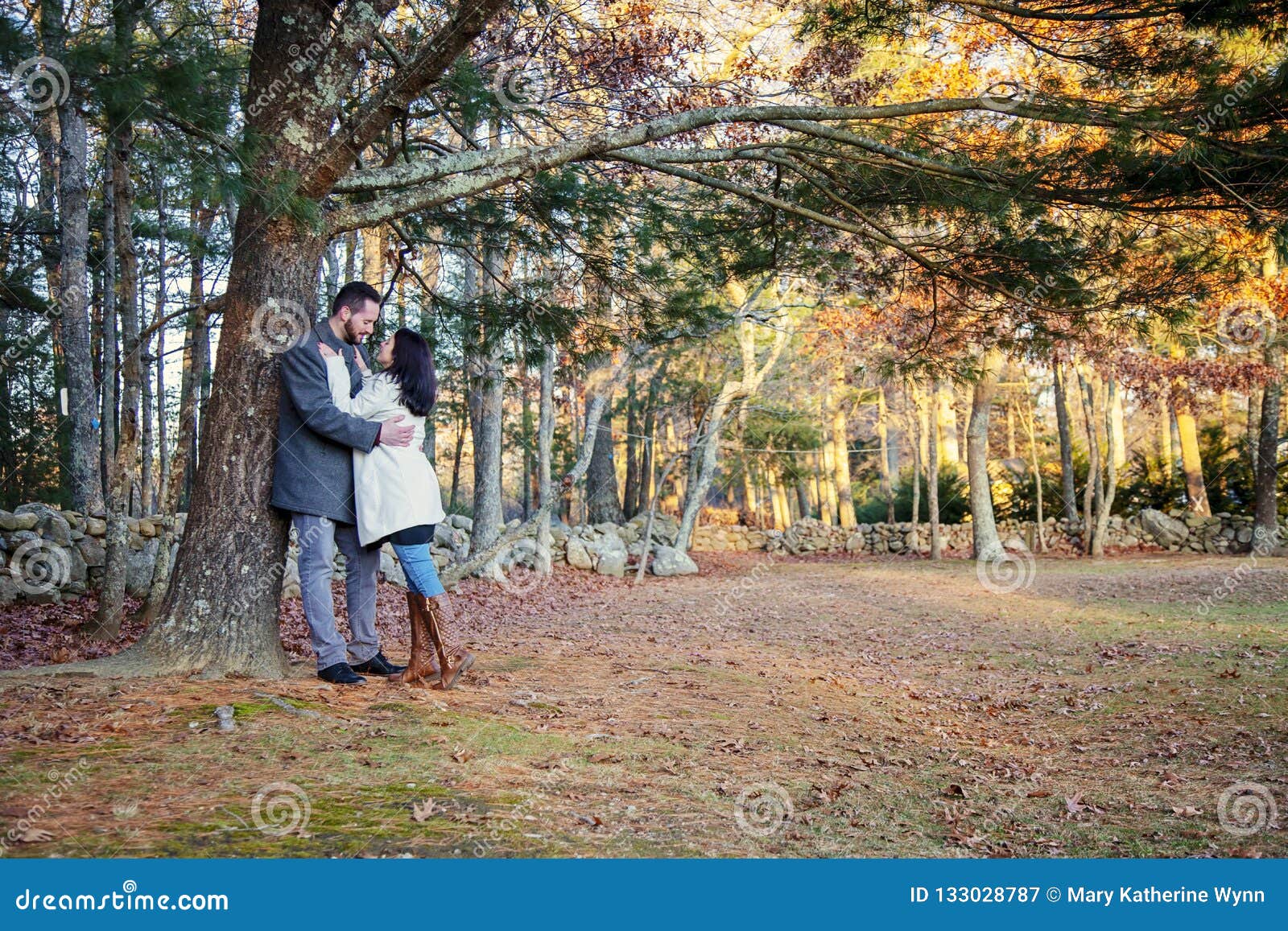 Romantic Young Couple Hugging Under a Tree on a Cold Fall Day Stock ...
