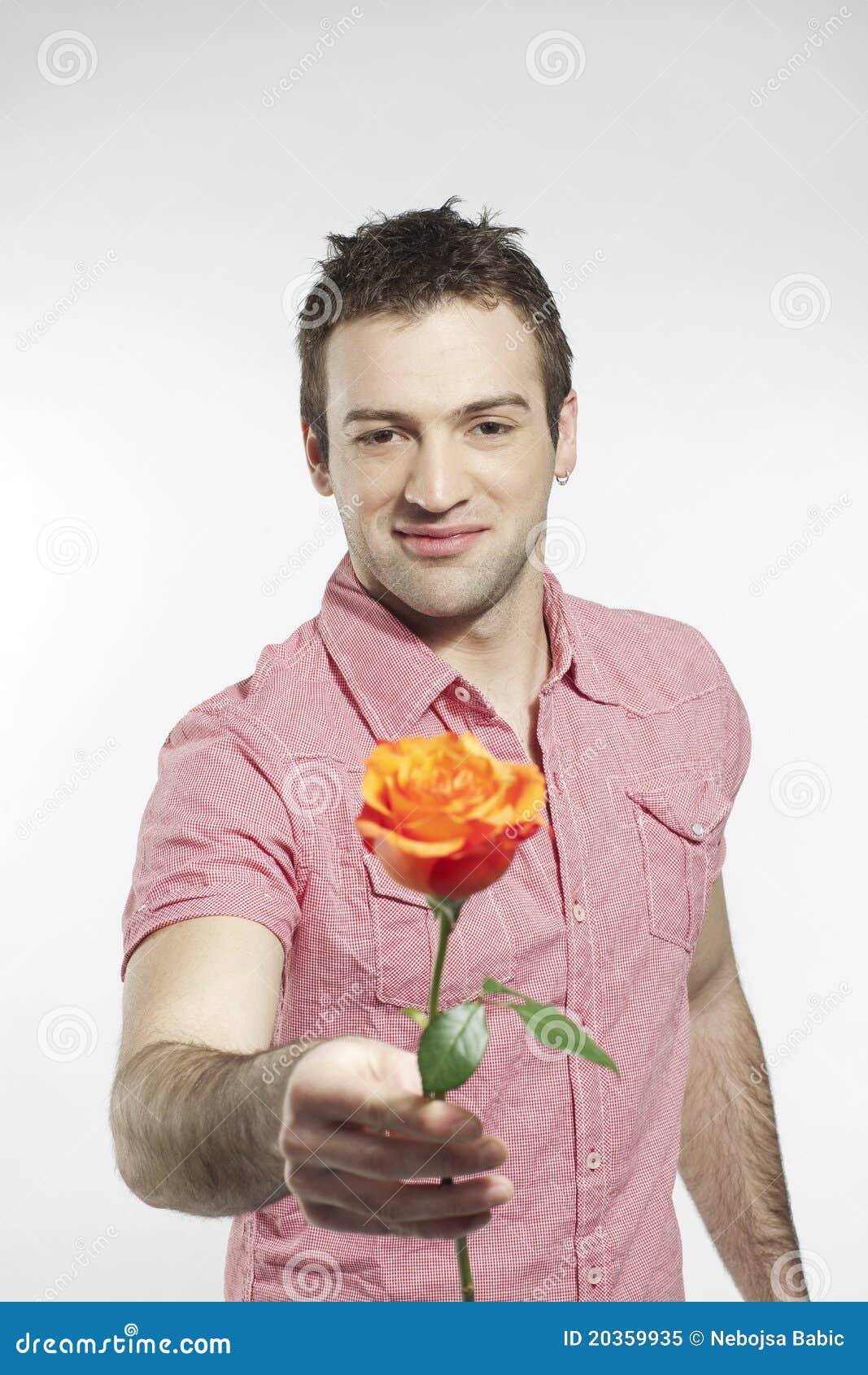 Romantic Young Man Giving A Rose Royalty Free Stock Photo - Image: 20359935