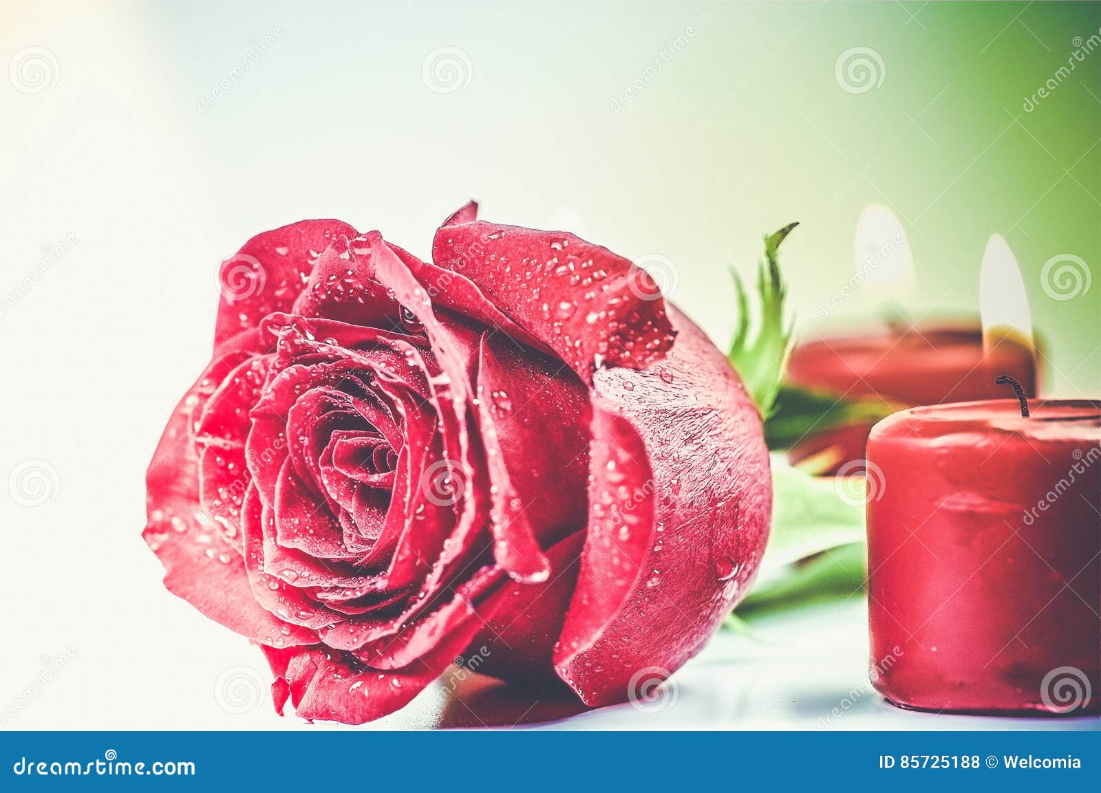 Romantische Rode Rose Theme Stock Foto - Image of rood, romantisch ...