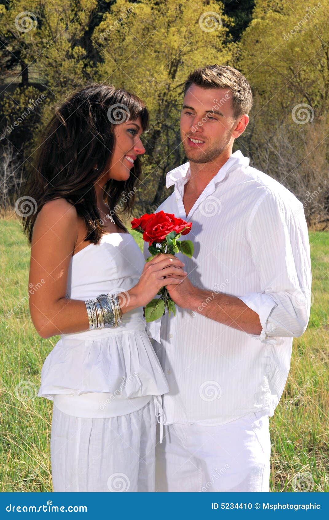 Romantischer Moment stockfoto. Bild von sommer, blumen - 5234410