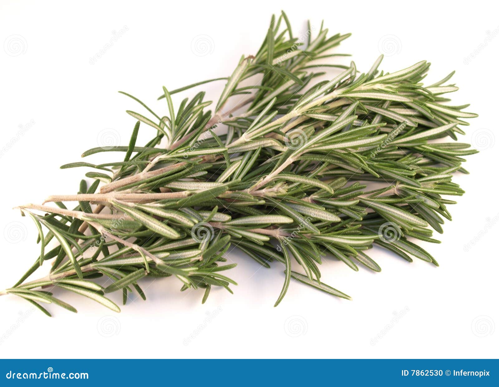 Romarin photo stock. Image du arome, cuisinier, groupe - 7862530