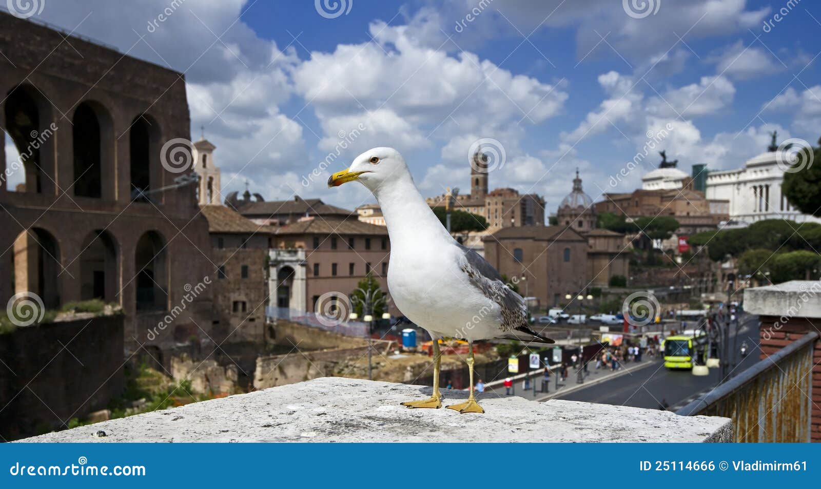 Rome stock photo. Image of rome, feathers, ancient, ruins - 25114666