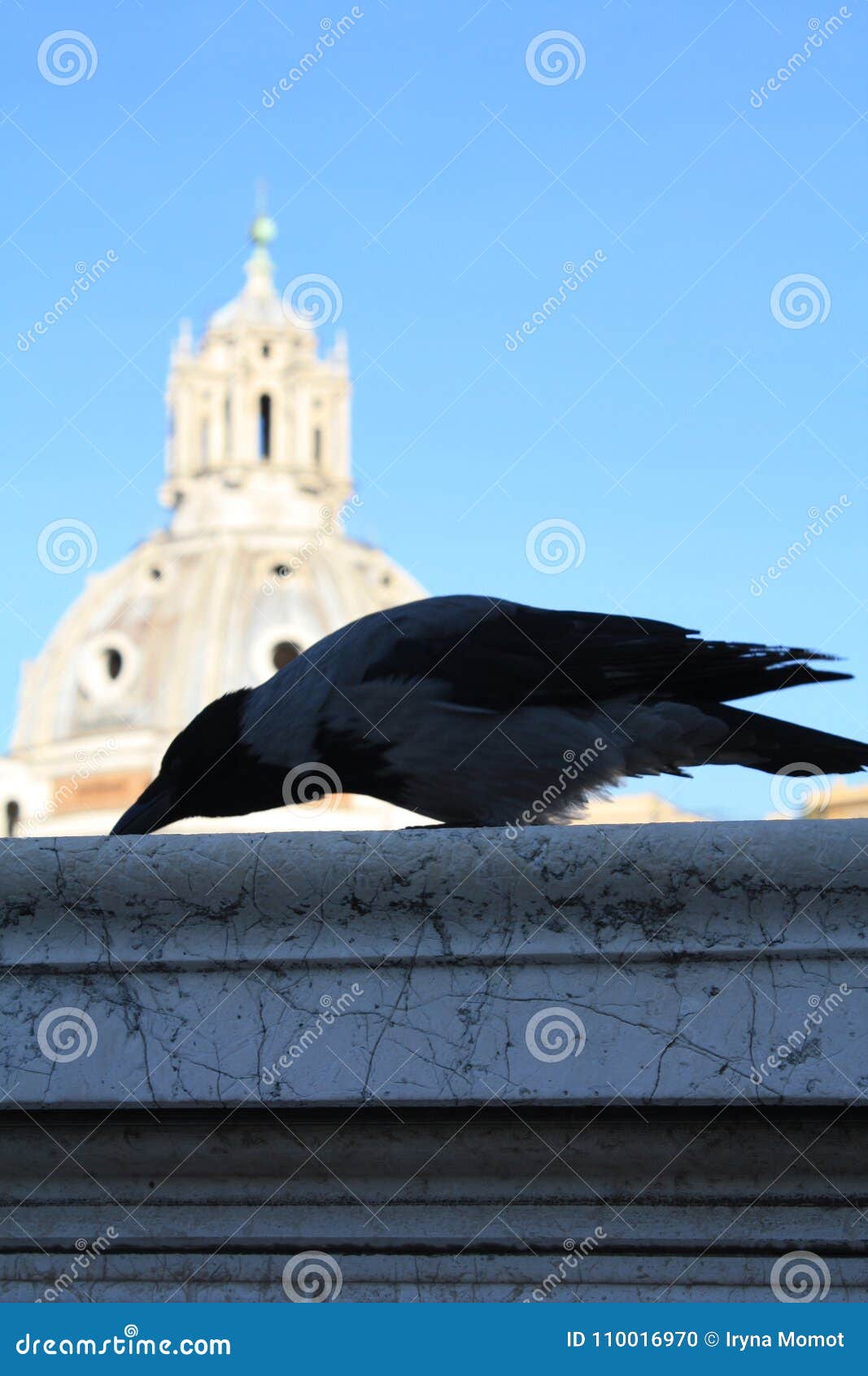 Rome Italy crow stock photo. Image of tower, culture - 110016970