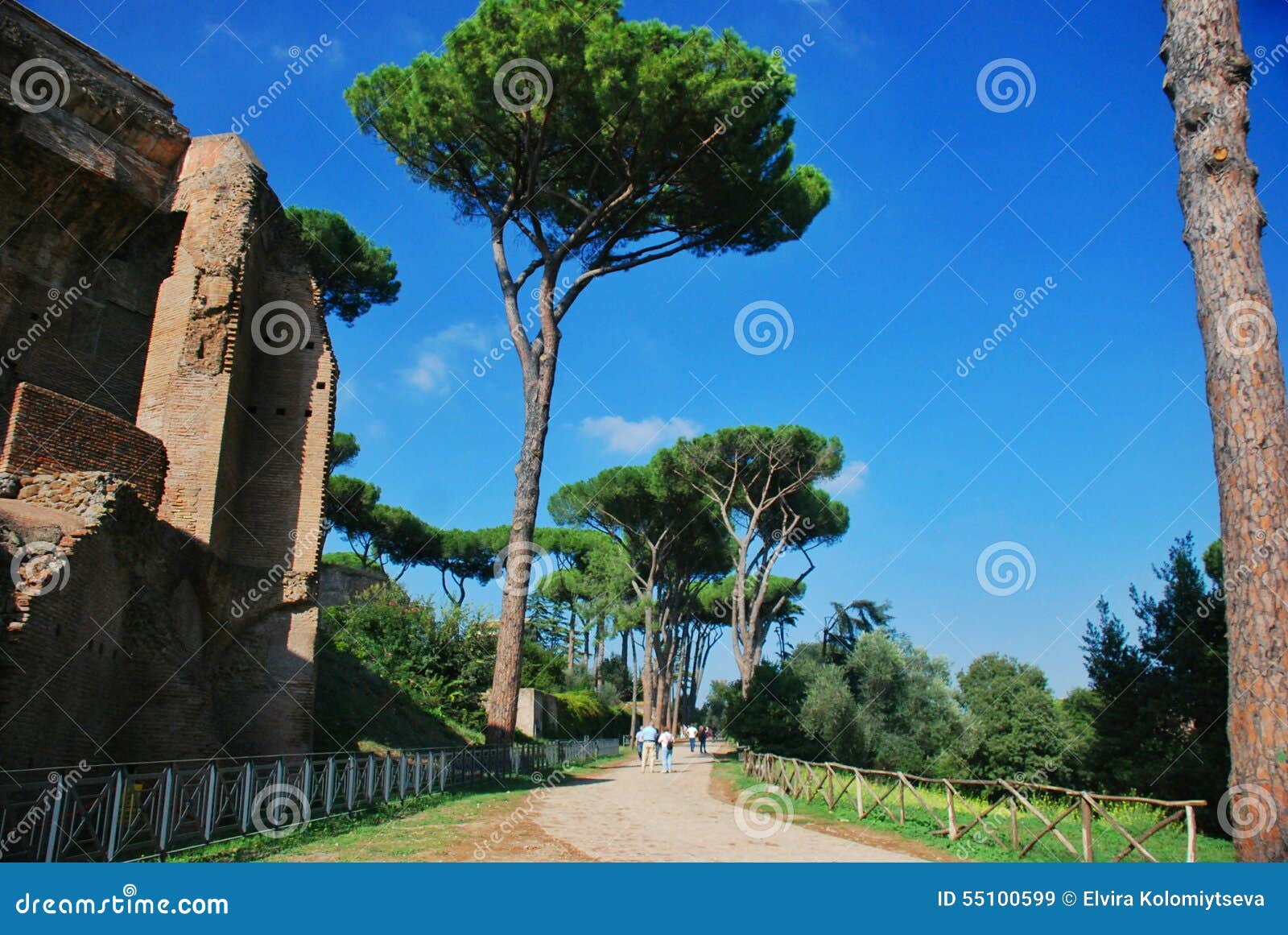 Rome, Palatine. Pine stock image. Image of domus, cityscape - 55100599