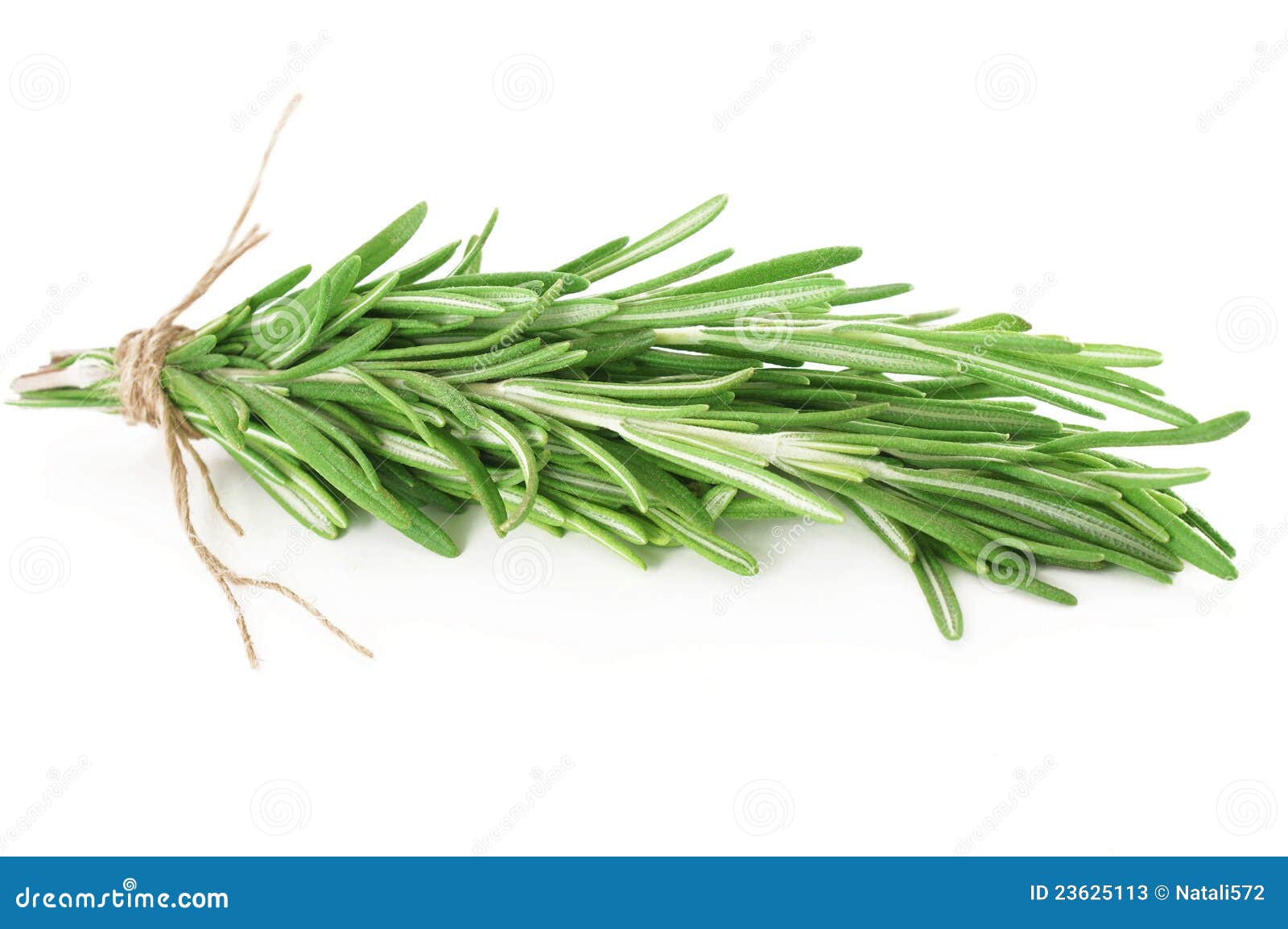 Romero Fresco. Fotos de archivo - Imagen: 23625113