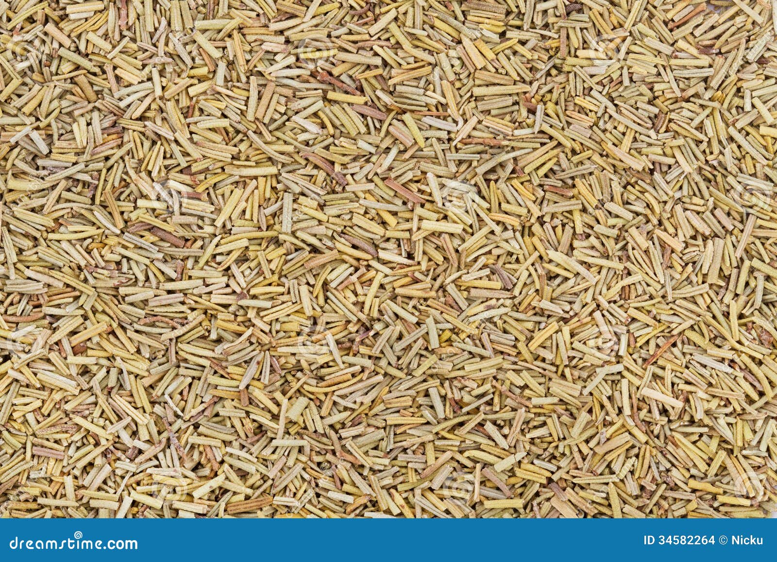 Romero seco foto de archivo. Imagen de hoja, primer, sabor - 34582264