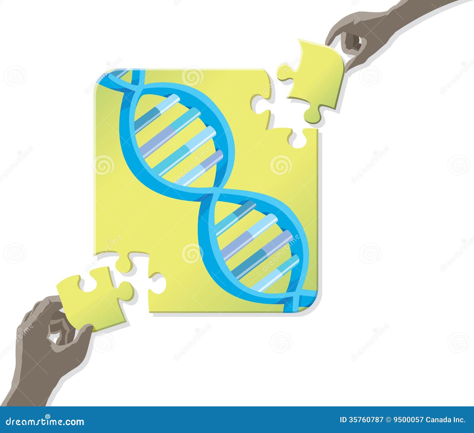 Rompecabezas de la DNA ilustración del vector. Ilustración de timina ...