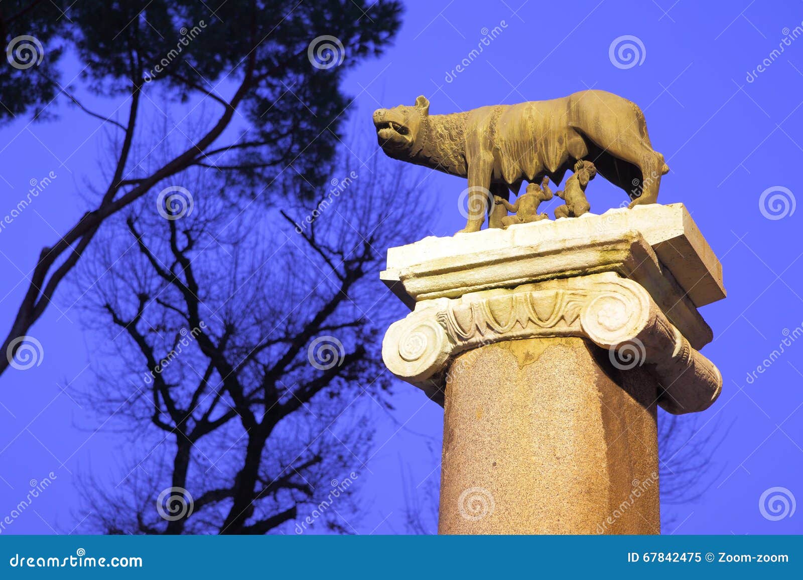 Romulus and Remus stock image. Image of capital, capitol - 67842475