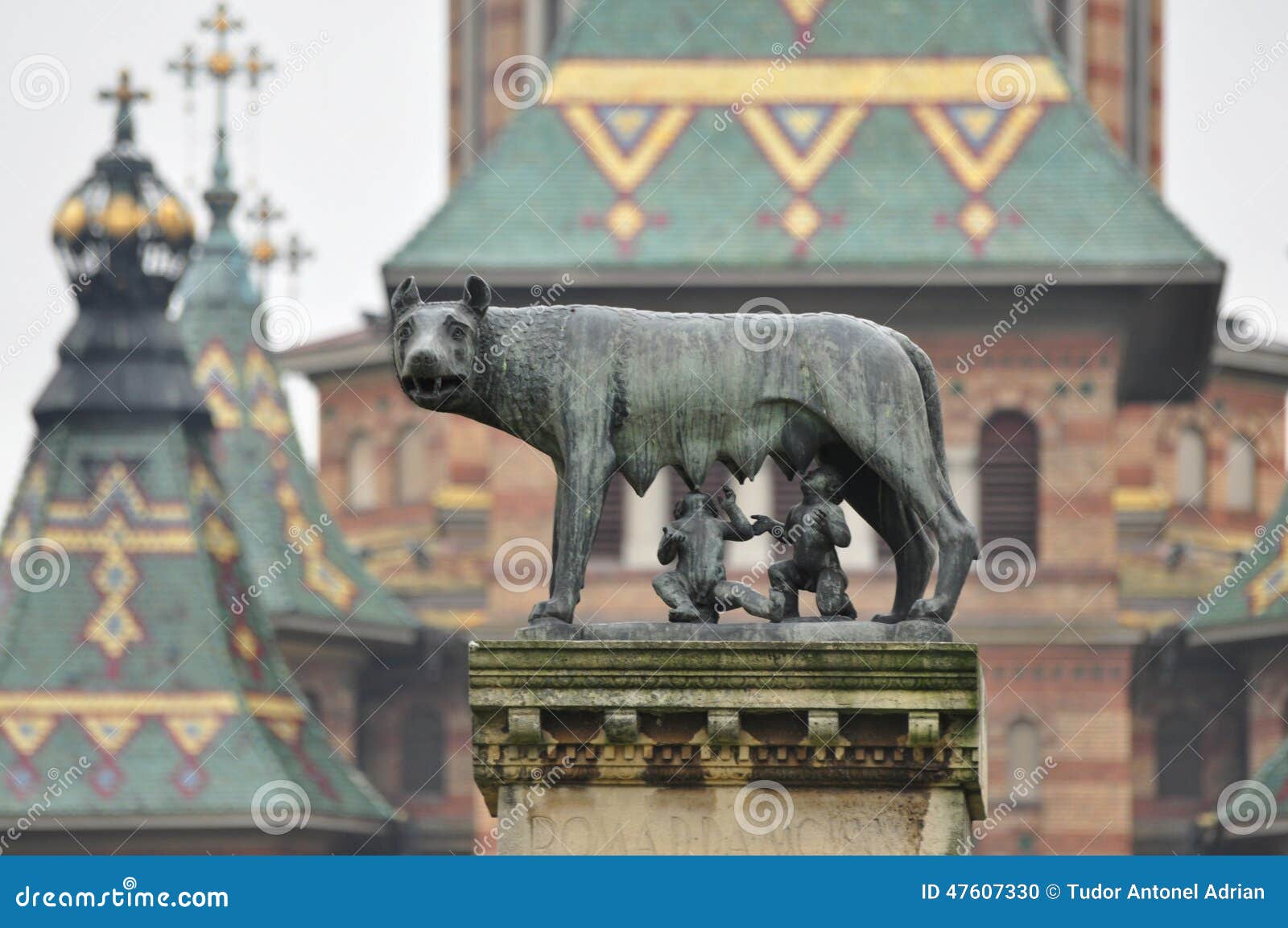 Romulus and Remus statue stock photo. Image of animal - 47607330