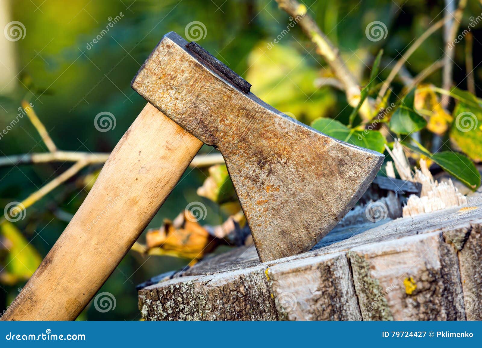 Ron Axe on Tree Stump in Forest Stock Image - Image of grip, summer ...