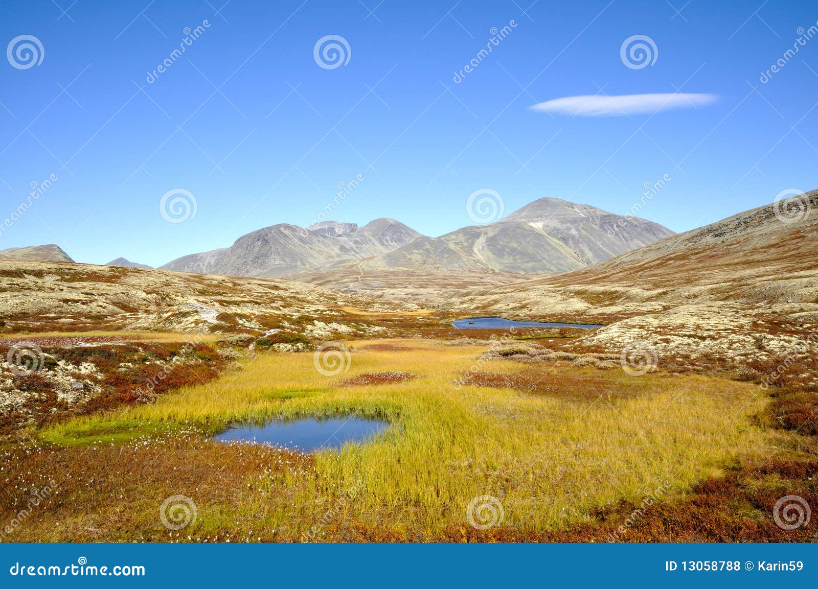 Rondane stock photo. Image of landscape, tourism, relaxation - 13058788