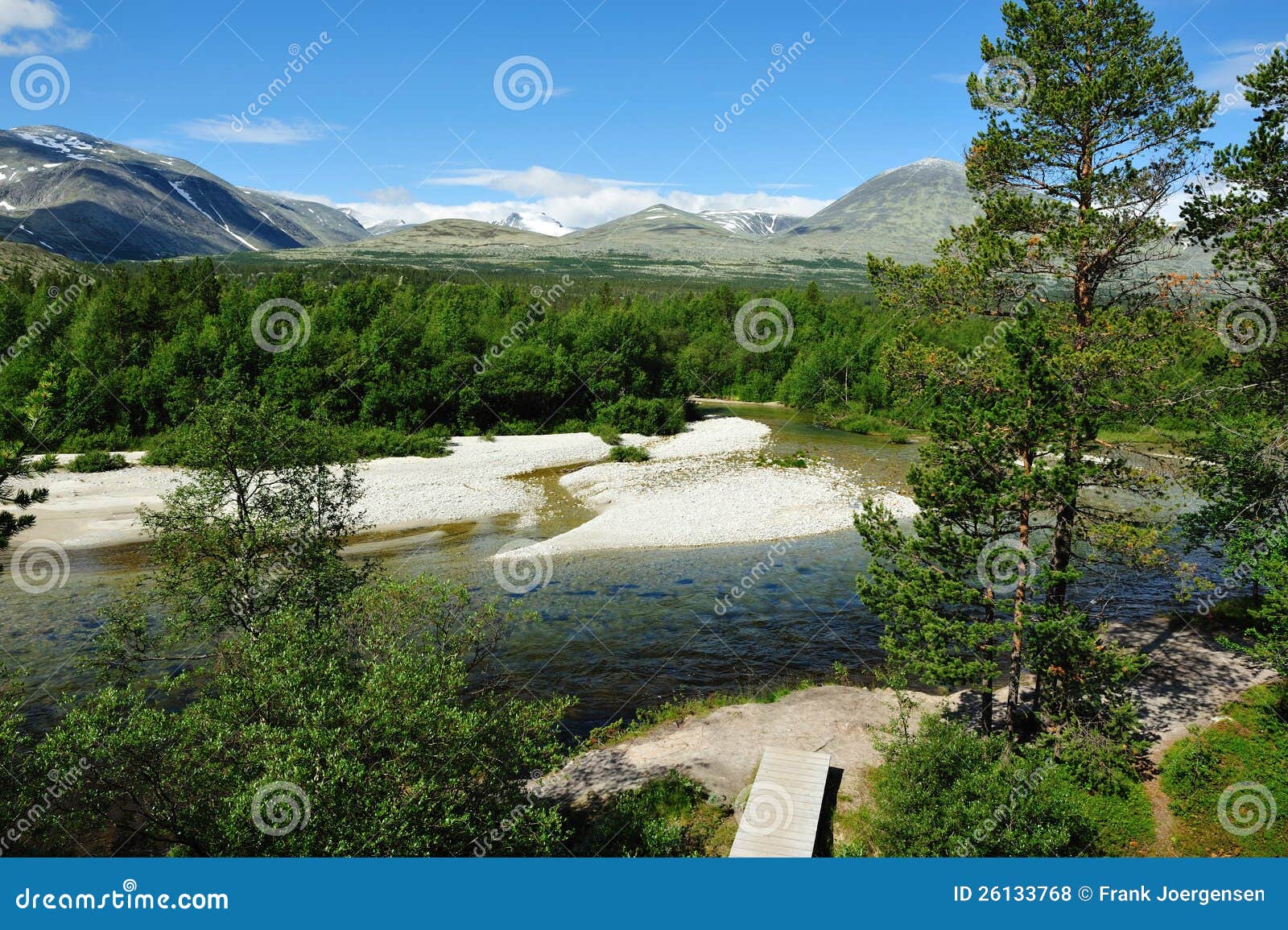 Rondane National Park stock photo. Image of tree, scene - 26133768