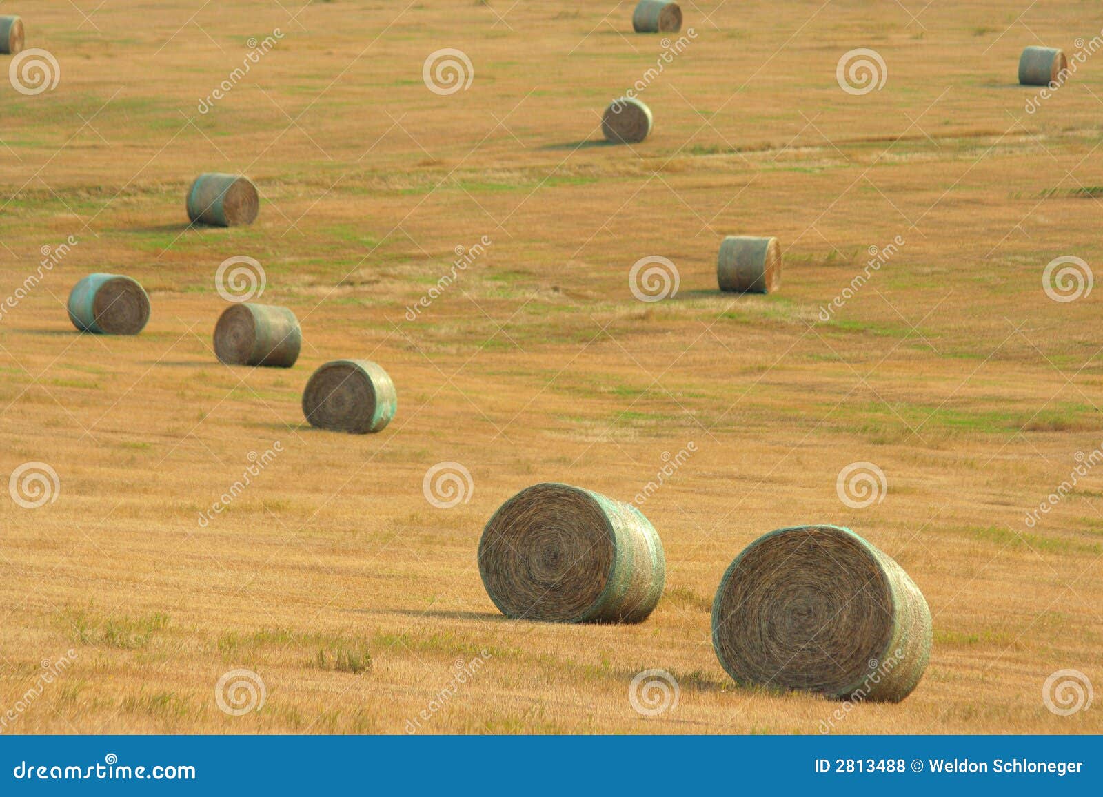 Ronde balen op helling stock foto. Image of cirkel, landelijk - 2813488