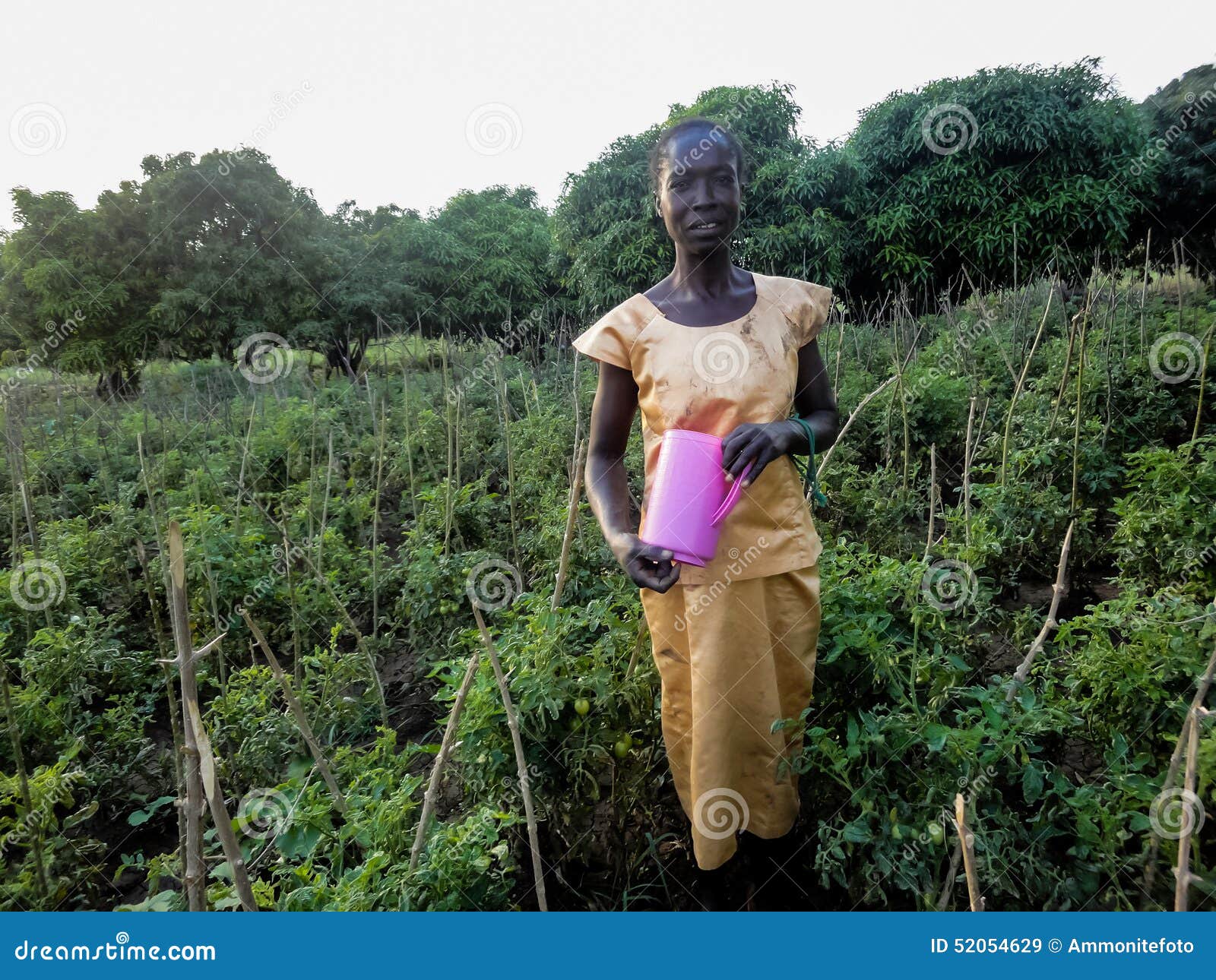 Rongo, Kenya imagem de stock editorial. Imagem de seco - 52054629