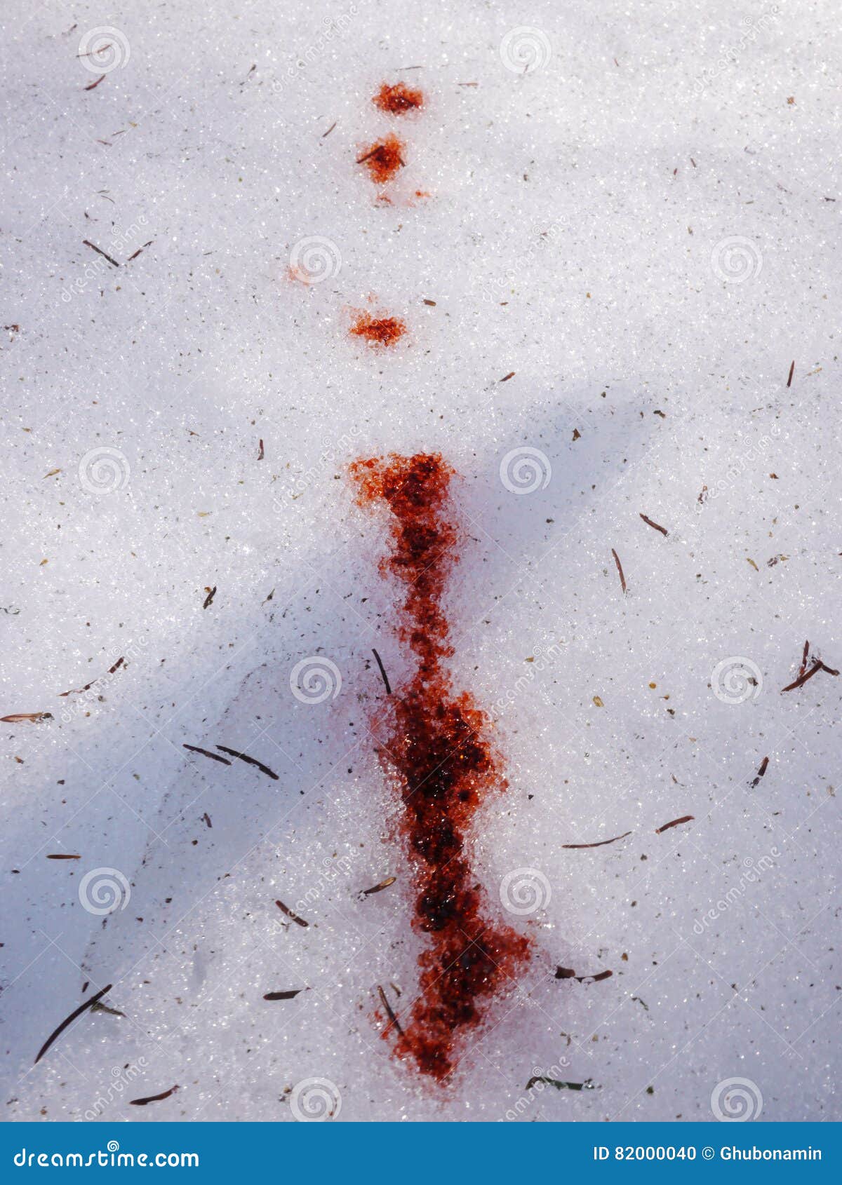 Rood bloed op witte sneeuw stock foto. Image of patroon - 82000040