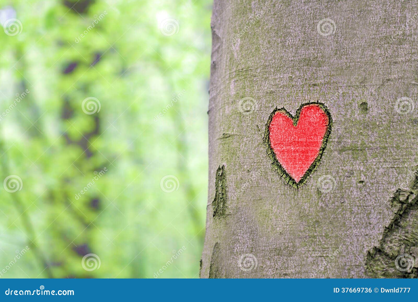 Rood Die Hart in De Boom Wordt Gegraveerd Stock Foto - Image of ruimte ...