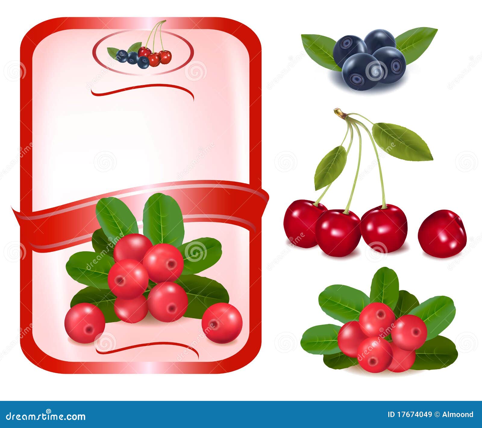 Rood Etiket Met Bessen. Vector. Vector Illustratie - Illustration of ...