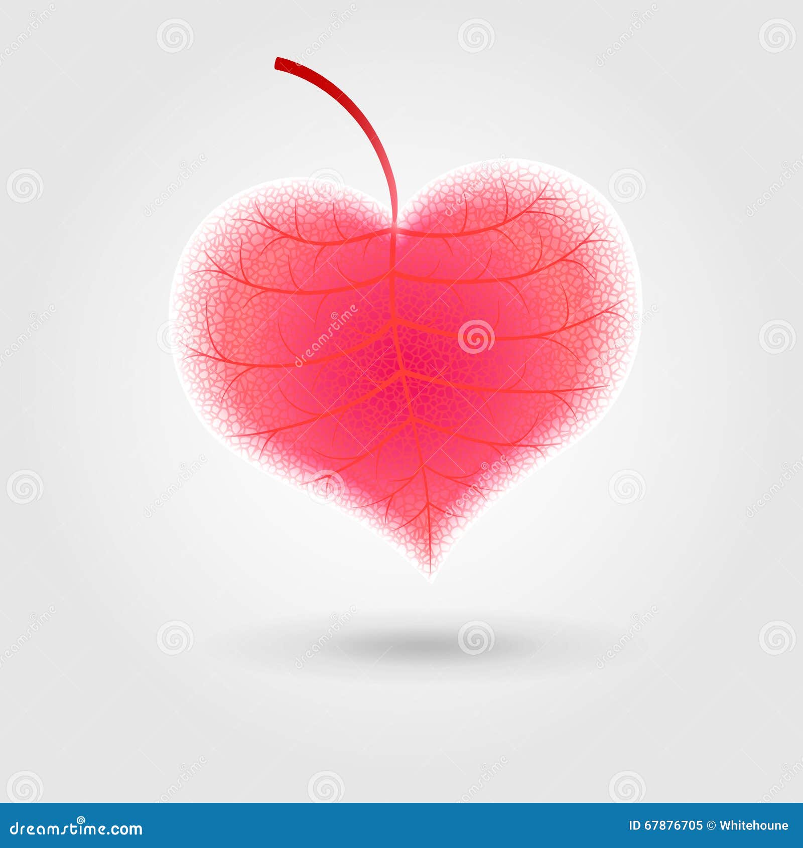 Rood gestileerd blad-hart vector illustratie. Illustration of bloed ...