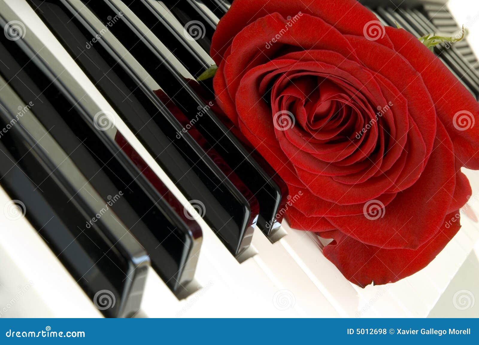 Rood nam op piano toe stock foto. Image of tekst, stuk - 5012698