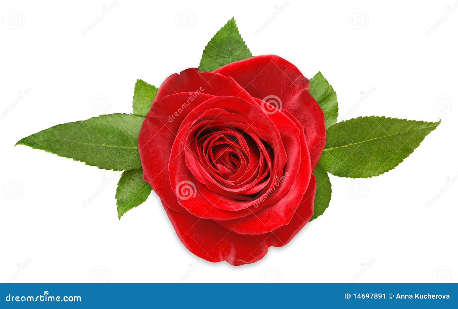 Rood nam toe stock afbeelding. Image of mening, cadeau - 14697891