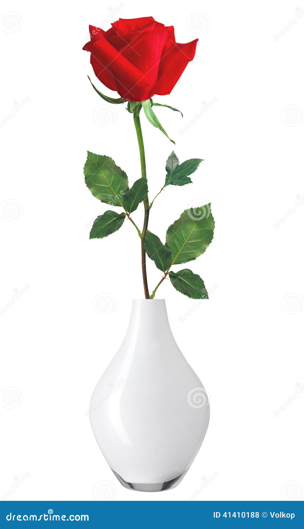 Rood Nam in Vaas Toe Over Wit Wordt Geïsoleerd Dat Stock Foto - Image ...