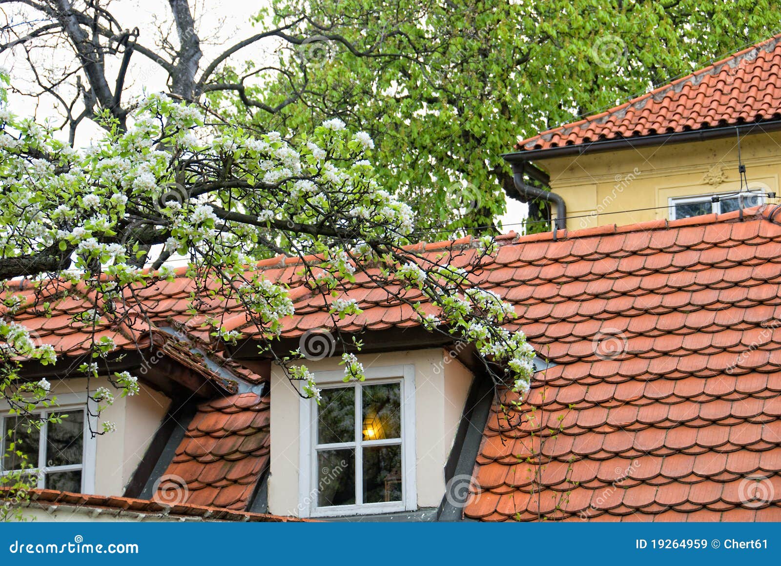 Roof stock image. Image of housing, architecture, window - 19264959