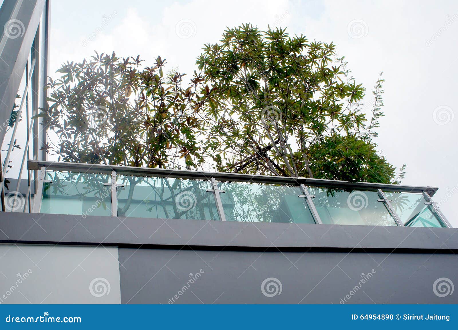 On the roof stock photo. Image of roof, tree, naturehouse - 64954890