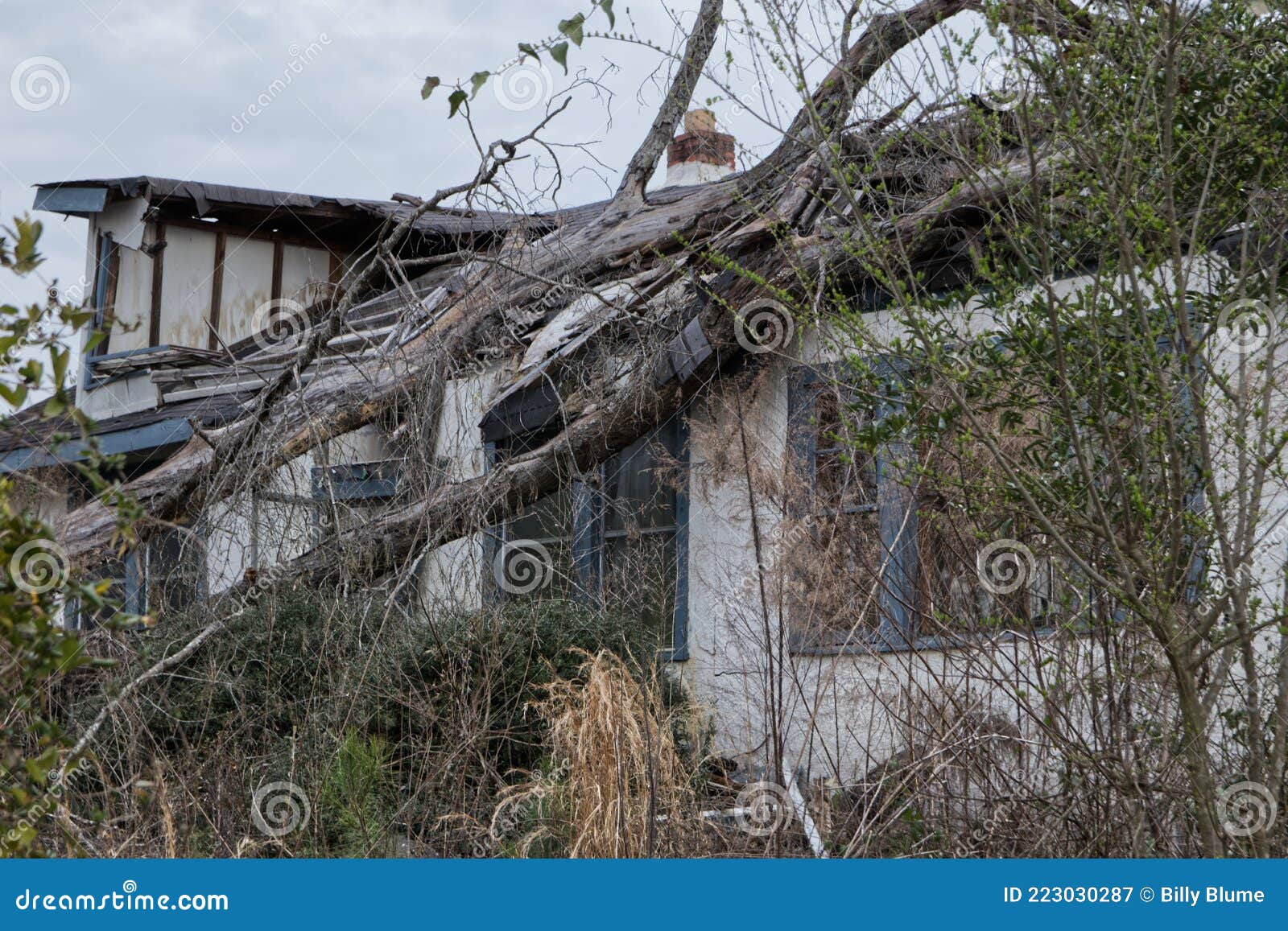 A Roof on an Abandoned House Smashed by a Tree Stock Image - Image of ...