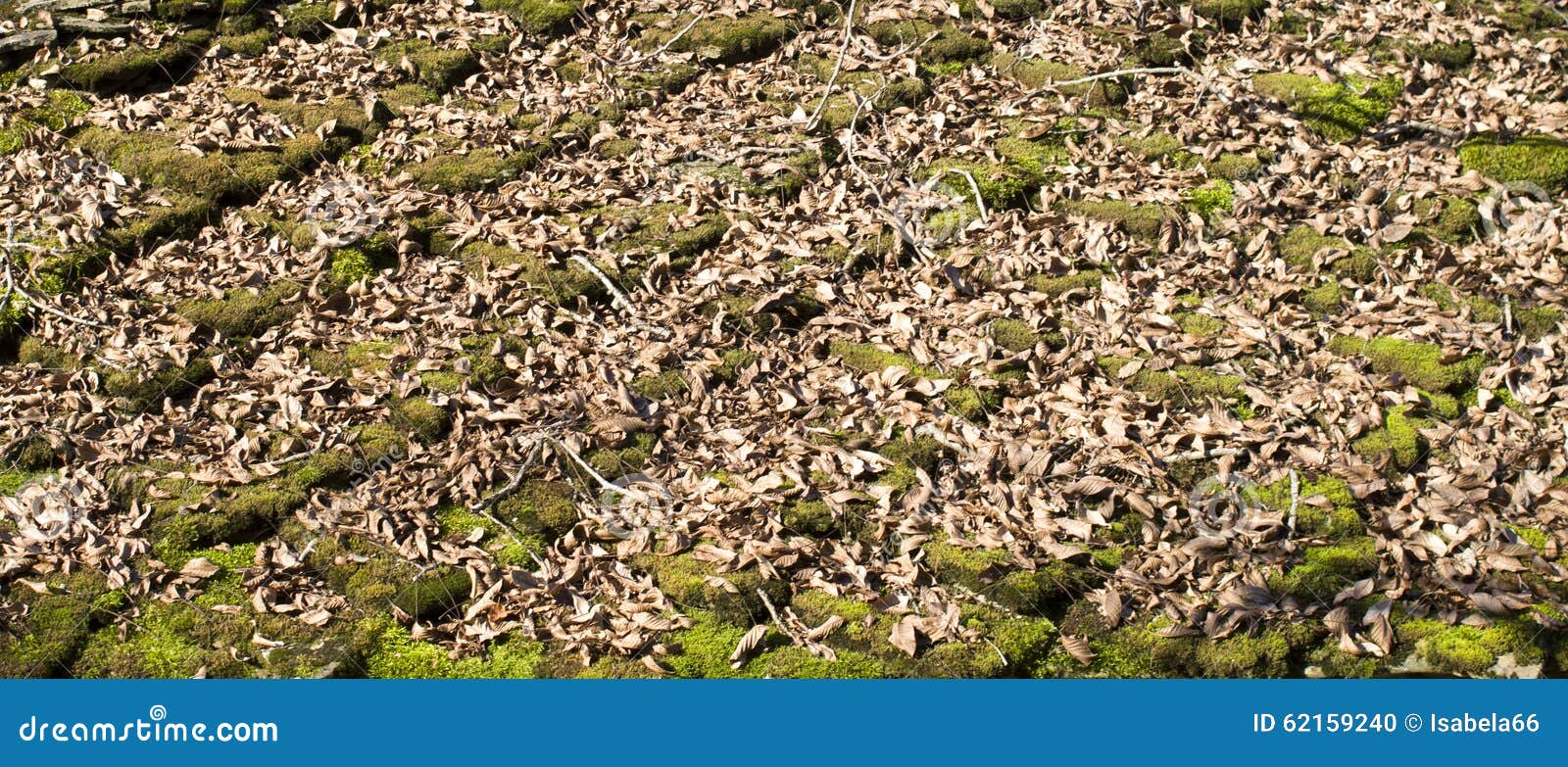 Roof Covered with Stone Slabs with Moss Stock Photo - Image of abstract ...